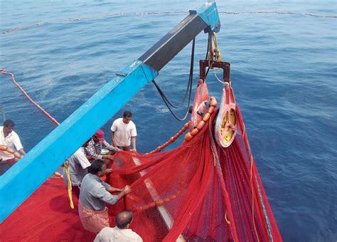 GNY :: Purse Seine Fishing in India
