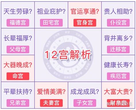紫微斗数十二宫 知乎