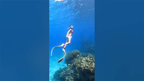 Beautiful Bikini Girls Swim Shorts Viral Trending Youtube
