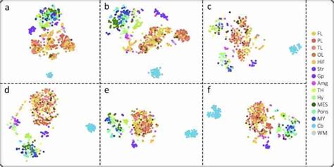 Genome Wide Gene Expression Similarity Within Six Human Brains Bh Sne