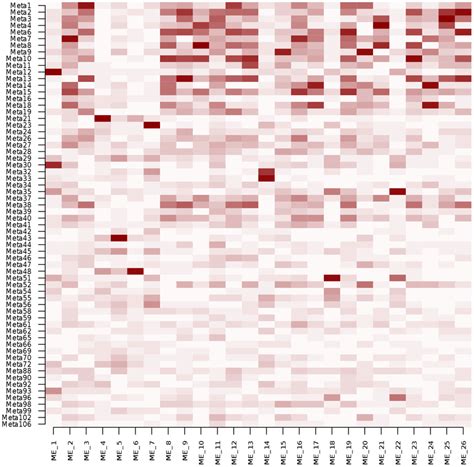 Heatmap Of Absolute Pearson Correlation Coefficients Between Expression