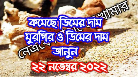 ২২ নভেম্বর ২০২২ 🐓 আজ ব্রয়লার সোনালি মুরগি কত টাকা কেজি ও ডিমের পাইকারি