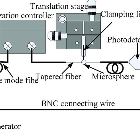 Structure Drawing Of Microcavity Testing System Download Scientific Diagram