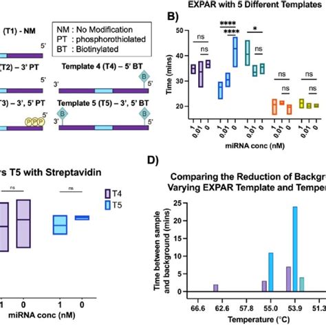 Effect Of Crowding Agent And Single Strand Binding Protein A T5