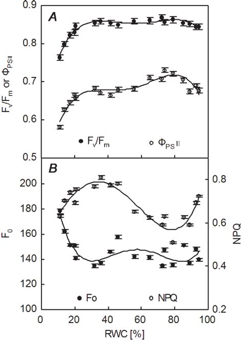 The Maximum Quantum Yield Of Psii Photochemistry Fv Fm The Effective