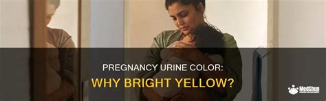 Pregnancy Urine Color Why Bright Yellow Medshun