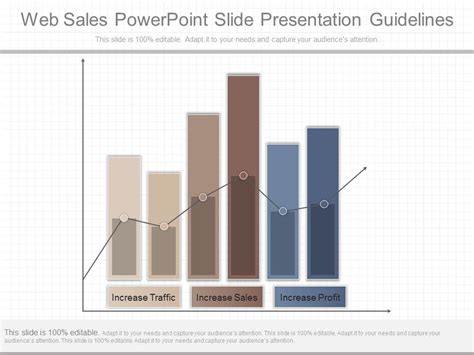 Web Sales Powerpoint Slide Presentation Guidelines