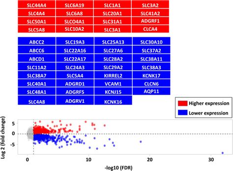 Cryptosporidium Parvum Infection Alters The Intestinal Mucosa Transcriptome In Neonatal Calves