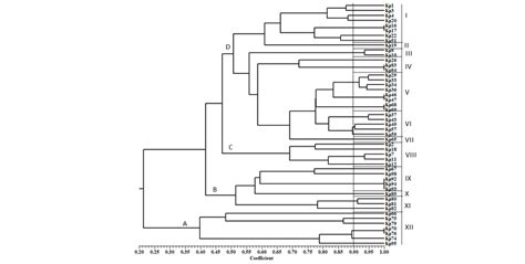 dendrogram generated by ntsys software of eric pcr patterns from the 49