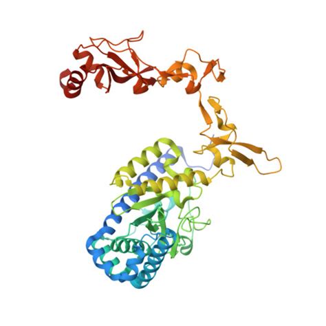RCSB PDB 2QSF Crystal Structure Of The Rad4 Rad23 Complex