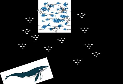 Whale Hunting Method Download Scientific Diagram