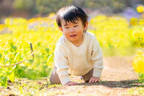 菜の花と僕 今この瞬間を遥かに
