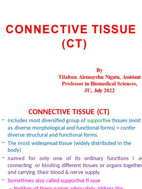 Connective Tissue Introduction Pdf Connective Tissue
