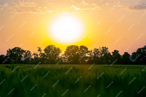 Premium Photo Sunset In The Sky On The Of Grass