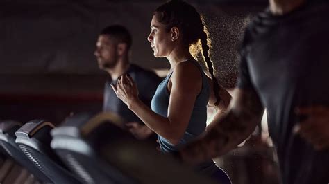 Qué Debes Hacer Para Poder Empezar A Ir Al Gym Vida Fit