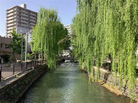 白井屋プロジェクト 白井屋プロジェクトでは前橋に住むアーティストの作品をご覧いただけます！ 出品作家 2 木暮伸也 1970年前橋生まれ