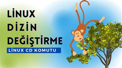 Cd Komutu Kullanımı Youtube