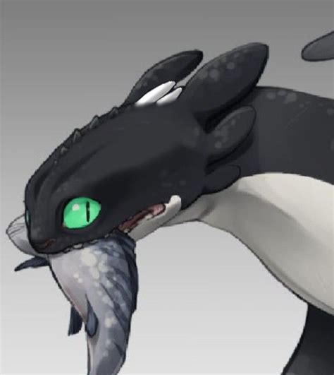 Ruffrunner How Train Your Dragon How To Train Dragon Httyd Dragons