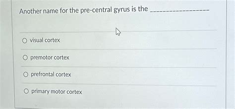 Solved Another Name For The Pre Central Gyrus Is Theq Visual Chegg Com