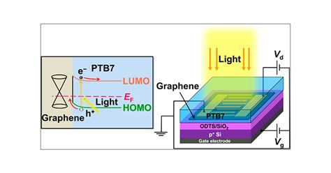 Highly Sensitive Graphenesemiconducting Polymer Hybrid Photodetectors