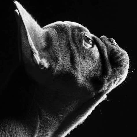 Ramón Luis Cabrera Youtube