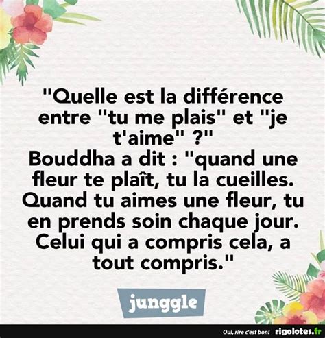Quel Est La Difference Entre Un Blagues Et Les Meilleures Images Hot