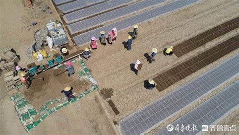 小满到鲁南粮仓忙育秧 小满 临沂 水稻