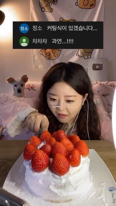 직접 만든 딸기 생크림 케이크 Youtube