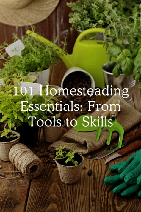 101 Homesteading Essentials From Tools To Skills The Homesteading Way