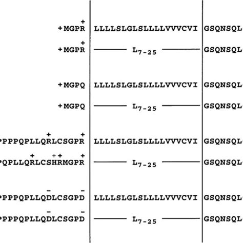 Amino Acid Sequence Of The Signalanchor Domain Of H1 Mutant Download Scientific Diagram