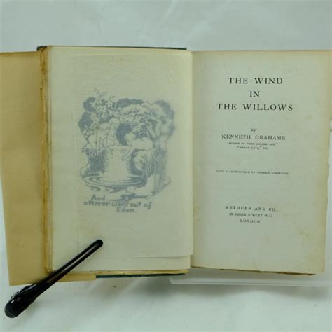 The Wind In The Willows By Kenneth Grahame Rare And Antique Books