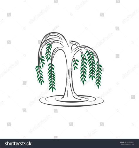 Willow Tree Vector Illustration Stock Vector Royalty Free 659154691