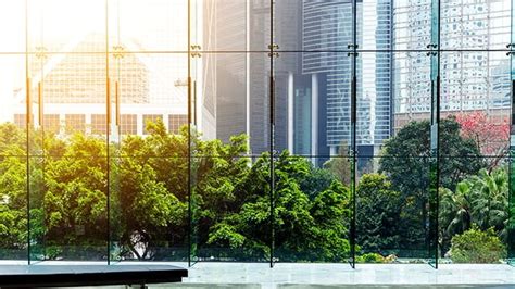 The Final Draft Of The Csr Directive Is Expected To Be Submitted