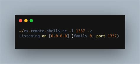 Github Maybo65reverse Shell And Polymorphic Shellcodes Reverse