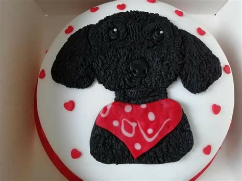 Cockapoo Cake Cake Desserts Cake Creations