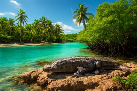Crocodile Where They Live Fascinating Insights Into Their Natural