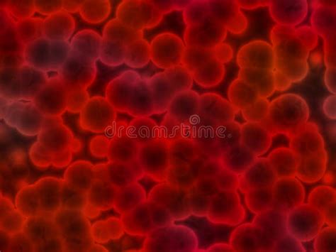 Red Circular Cells Stock Illustrations 641 Red Circular Cells Stock