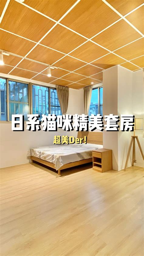 租屋診斷師阿劉｜台中租房、台中租屋 西區健行路日系精美套房（大套、獨洗曬、可貓） 🌟歡迎預約看房🌟 管理費600人 第二人入住租金