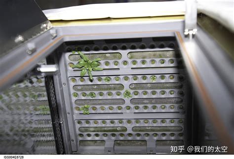 太空植物栽培装置，我们将来的“快乐农场”！ 知乎
