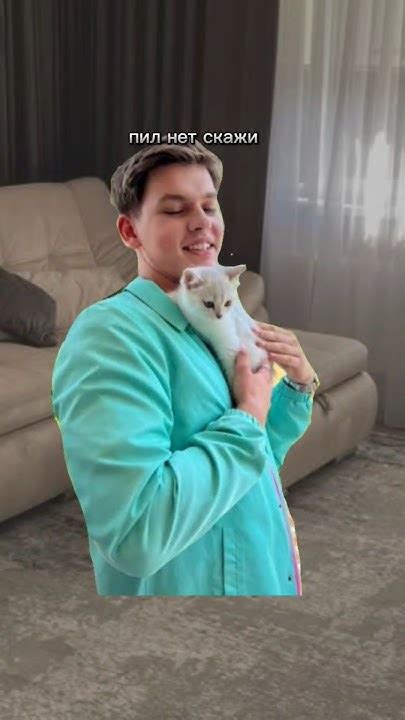 Китти хозяйка нейт Youtube