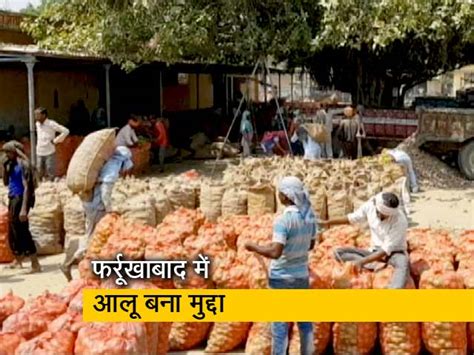 Potato Is Big Issue In Farrukhabad Lok Sabha Seat