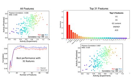 Github Sambitmishra0628sirnaactivityprediction Predicting Sirna
