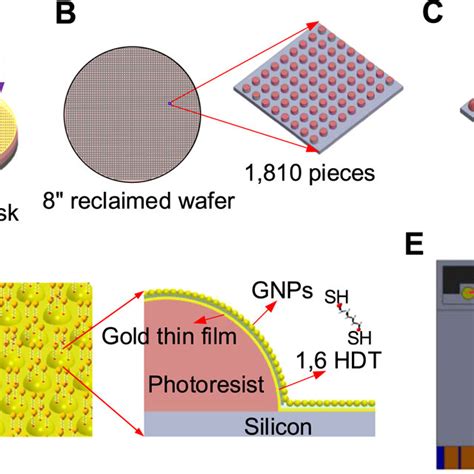Schematic Of The Proposed Orchid Virus Detection Sensor A
