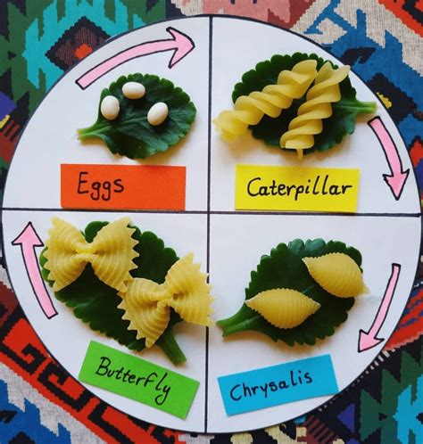 Words With Two Types Of Pasta
