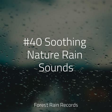 40 Soothing Nature Rain Sounds Album By Sleep Lullabies For Newborn