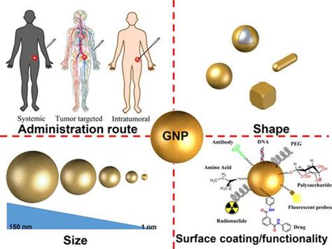 将金纳米粒子作为放射增敏剂转化为临床的关键参数 Wires Nanomedicine And Nanobiotechnology X Mol