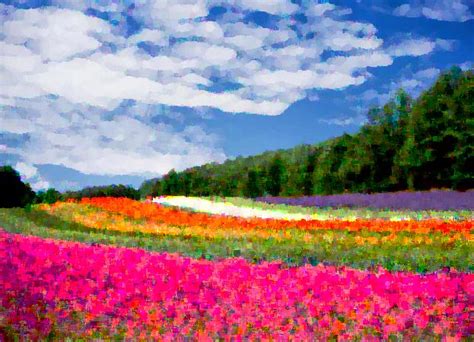 Imagefilter Module Pillow Pil Examples