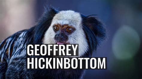 Geoffrey Hickinbottom Youtube