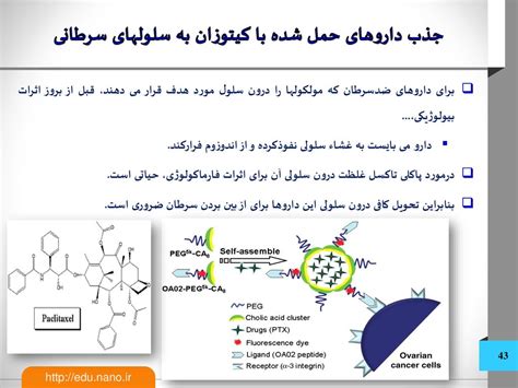 نانو پلیمرهای زیست تخریب پذیر کیتوزان سیستمی دارو رسان Ppt κατέβασμα