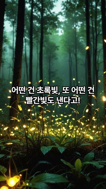 빨간빛 노란빛 초록빛 반딧불이 빛을 내는 원리 Youtube
